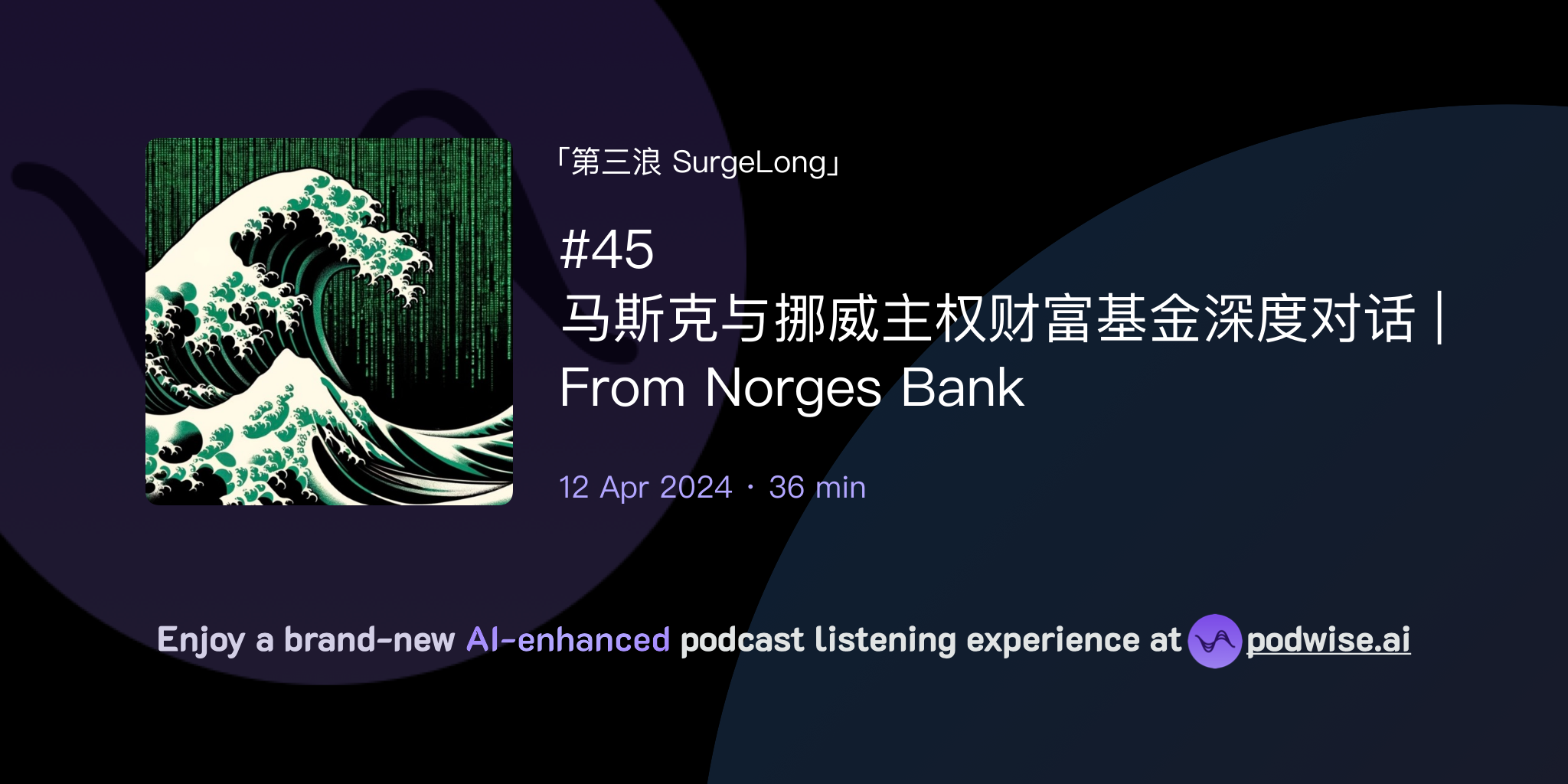 #45 马斯克与挪威主权财富基金深度对话 | From Norges Bank | 第三浪 SurgeLong | Podwise