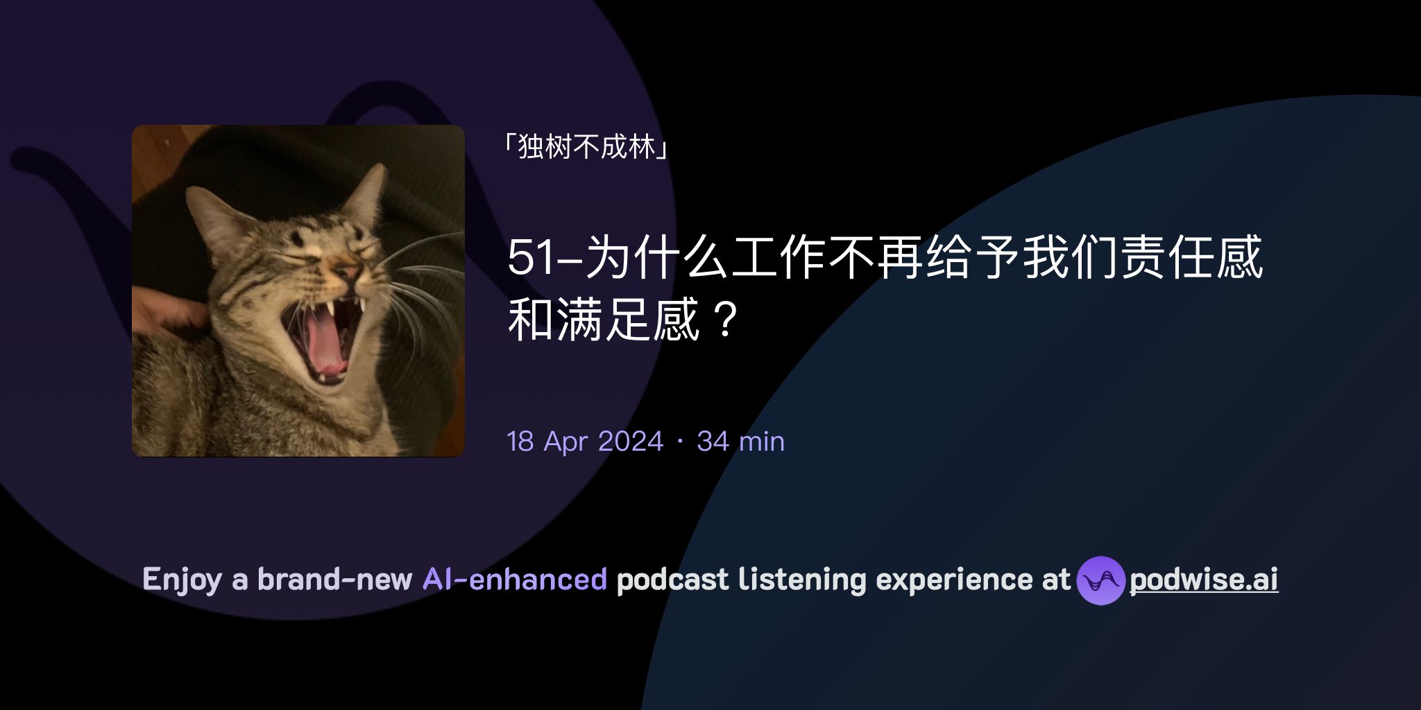 51-为什么工作不再给予我们责任感和满足感？ | 独树不成林 | Podwise