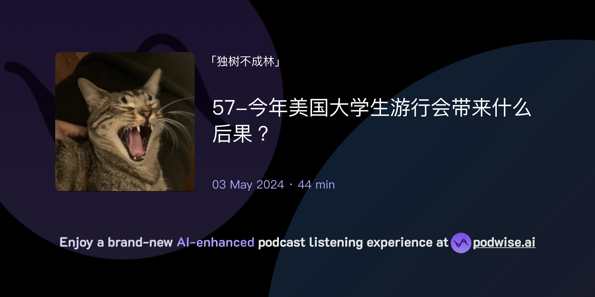 57-今年美国大学生游行会带来什么后果？ | 独树不成林 | Podwise
