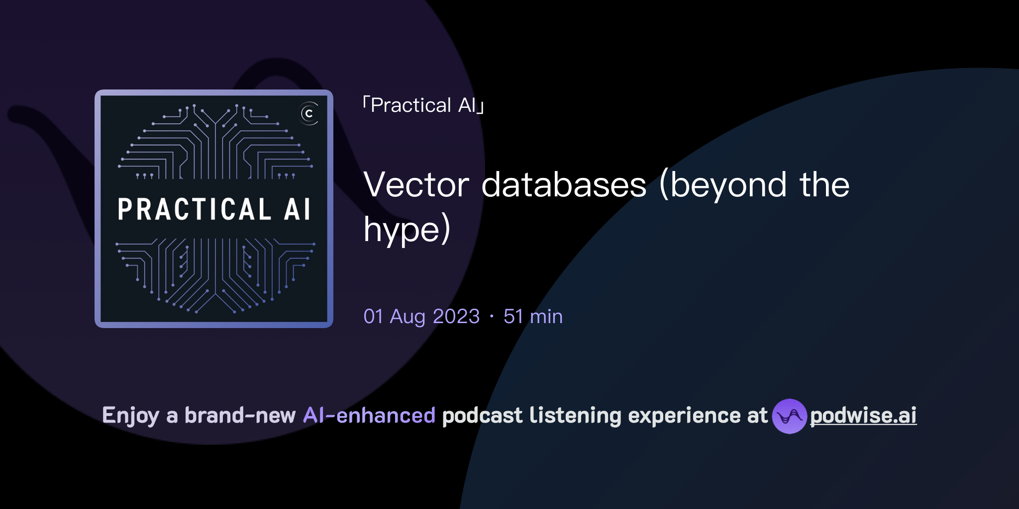 Vector databases (beyond the hype) | Practical AI | Podwise