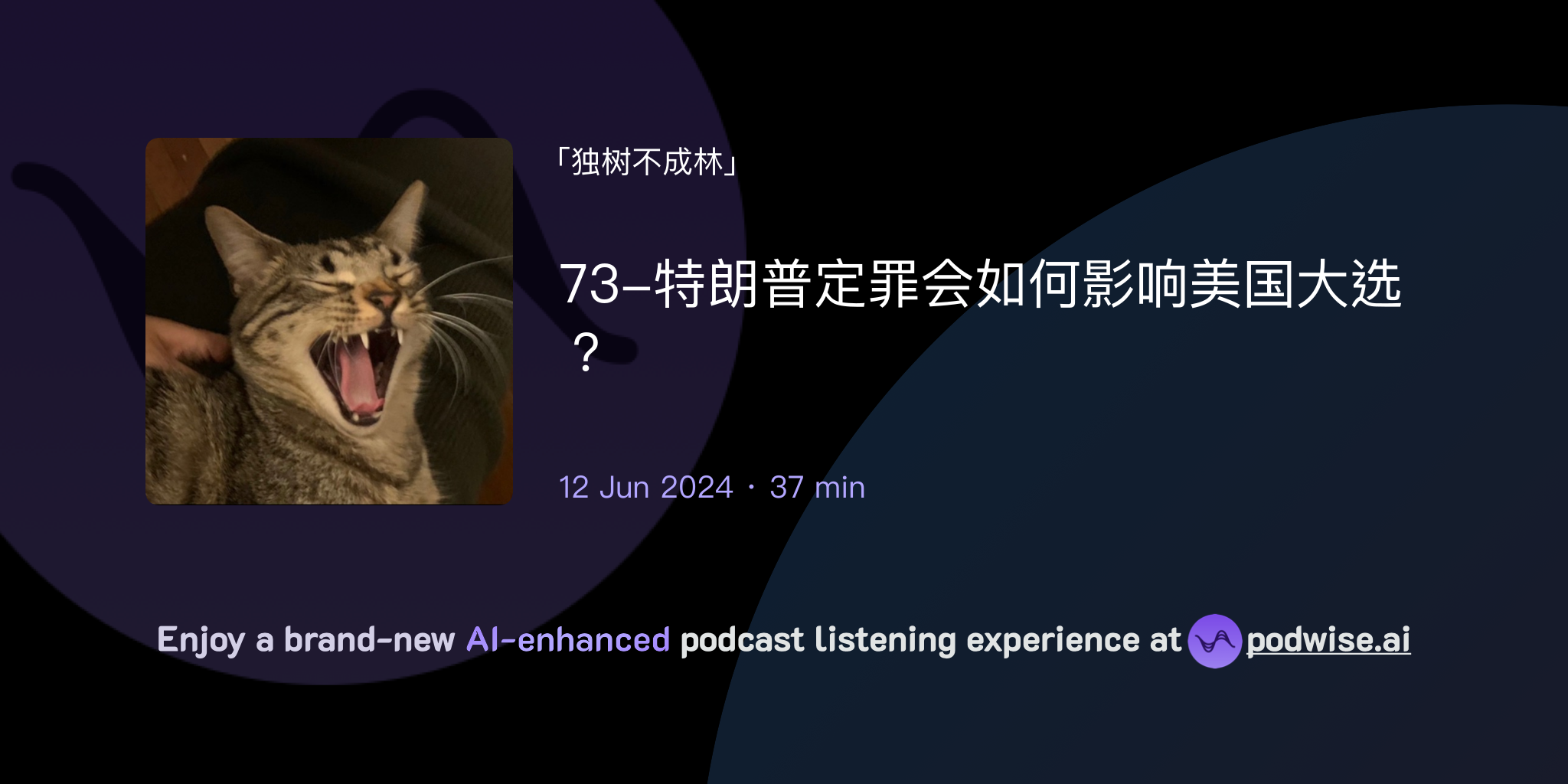 73-特朗普定罪会如何影响美国大选？ | 独树不成林 | Podwise