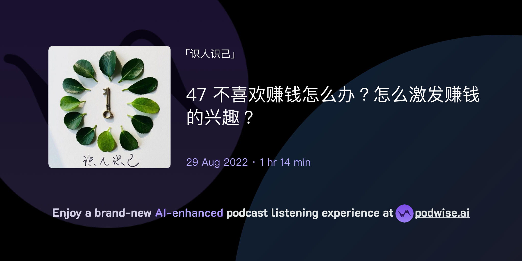 47 不喜欢赚钱怎么办？怎么激发赚钱的兴趣？ | 识人识己 | Podwise