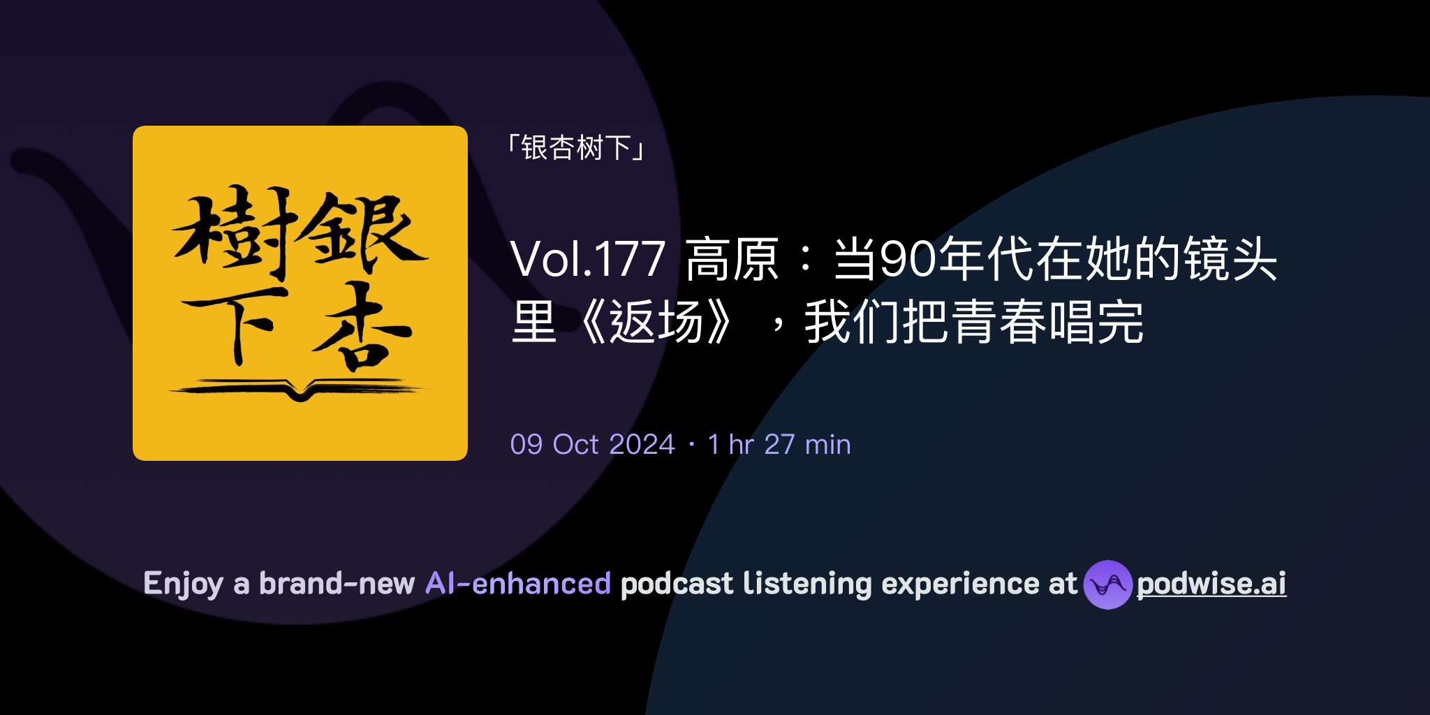 Vol.177 高原：当90年代在她的镜头里《返场》，我们把青春唱完 | 银杏树下 | Podwise
