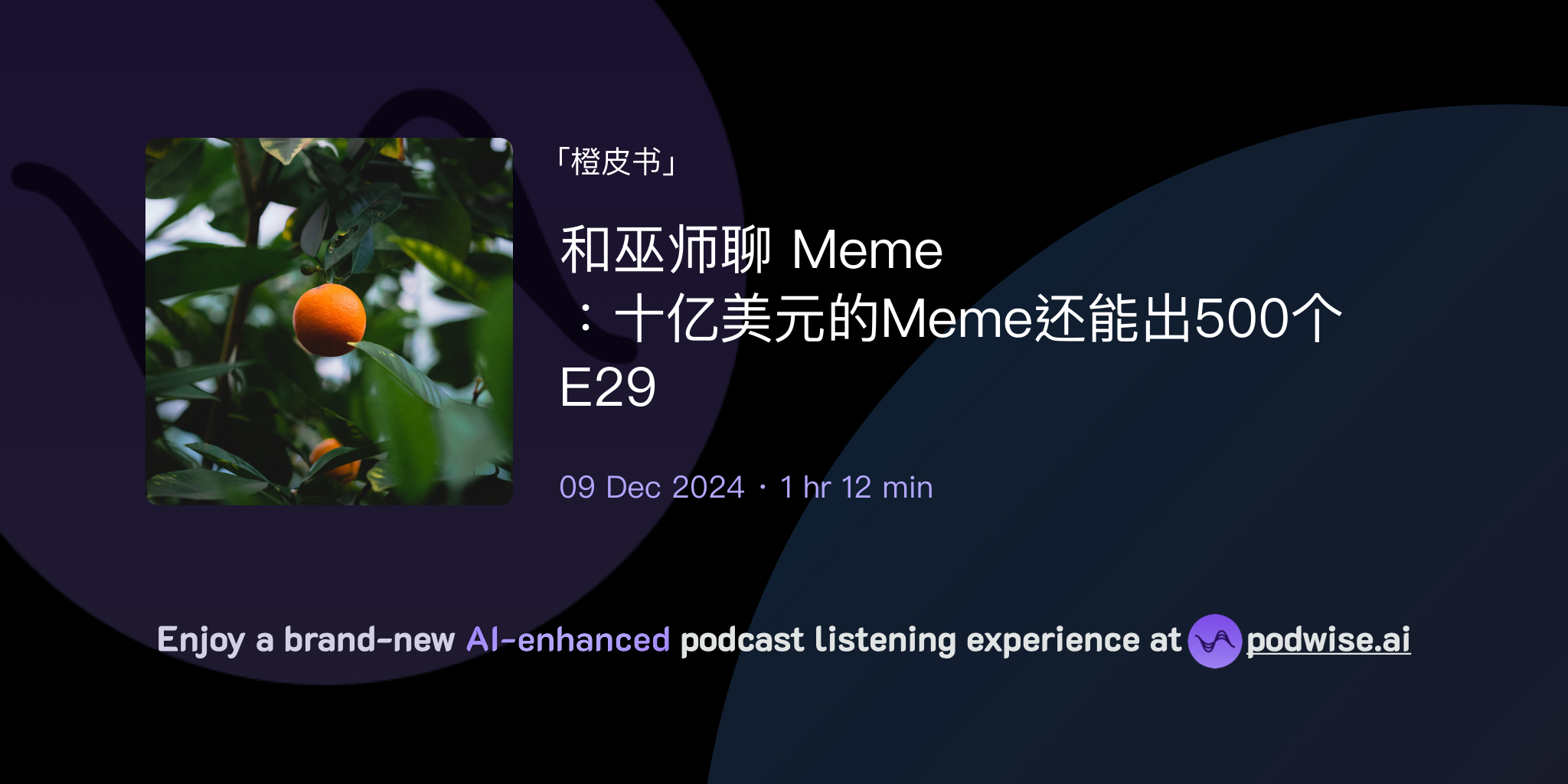 和巫师聊 Meme ：十亿美元的Meme还能出500个 E29 | 橙皮书 | Podwise