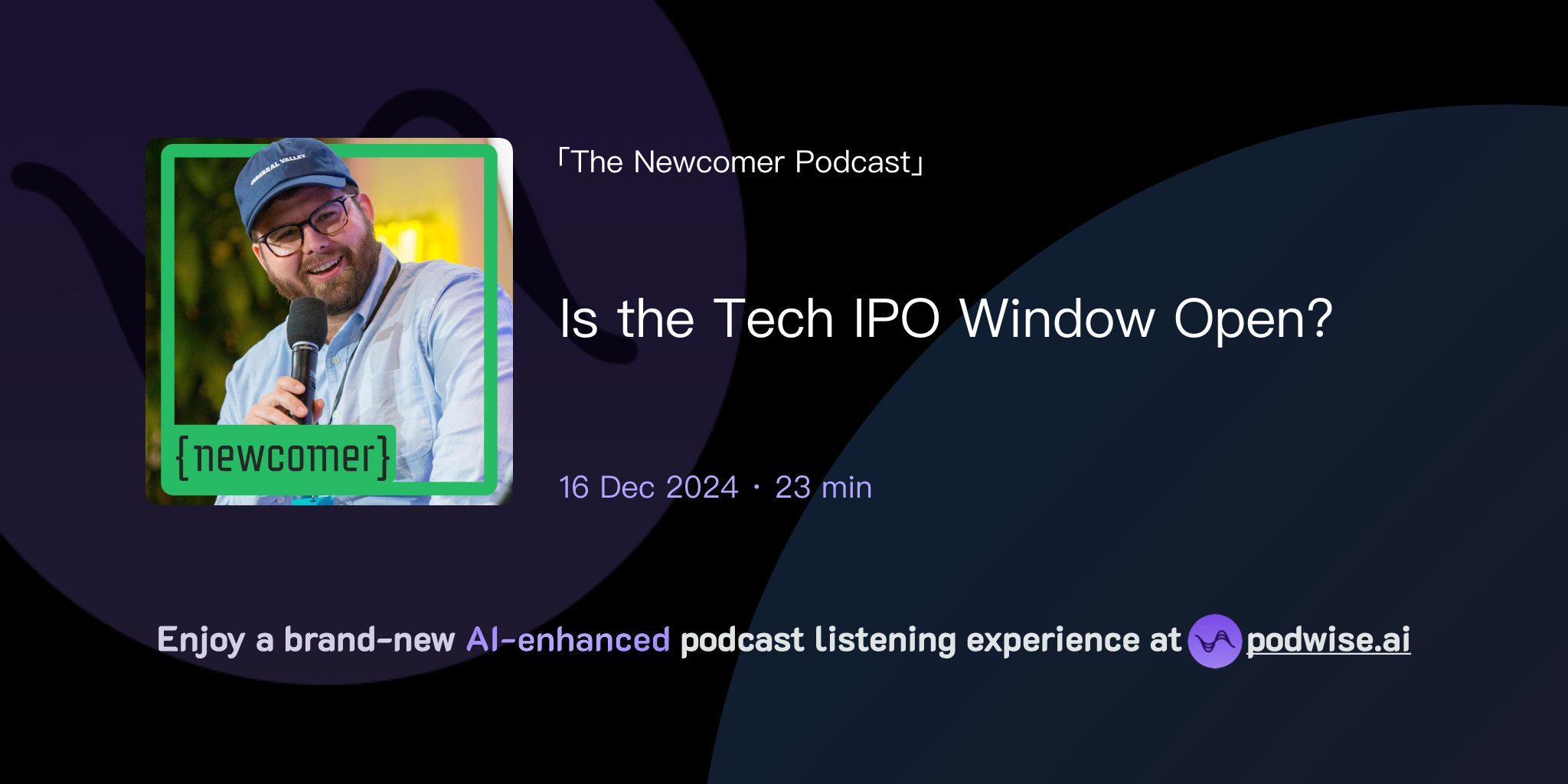Is the Tech IPO Window Open? | The Newcomer Podcast | Podwise