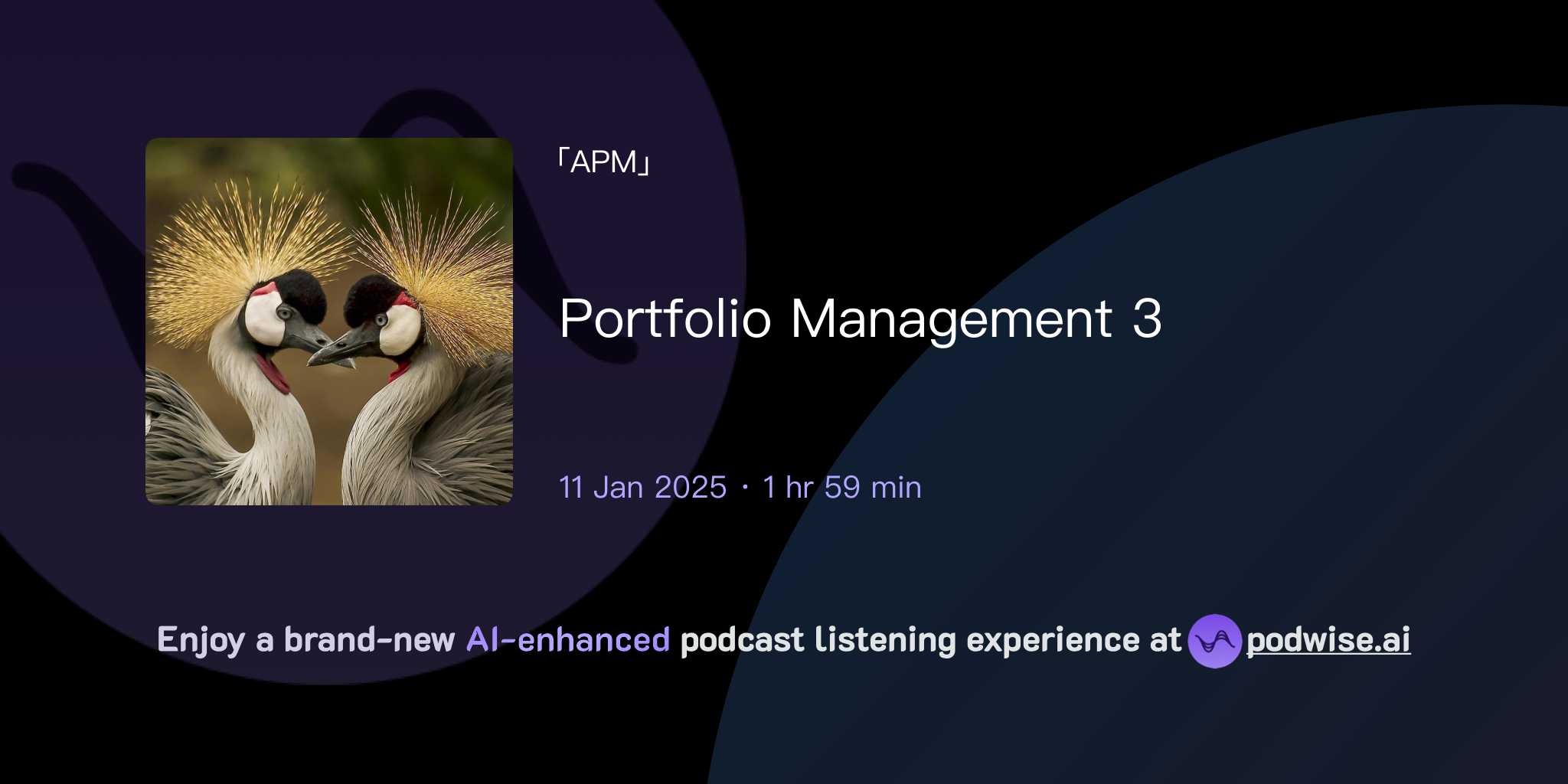 Portfolio Management 3 | APM | Podwise