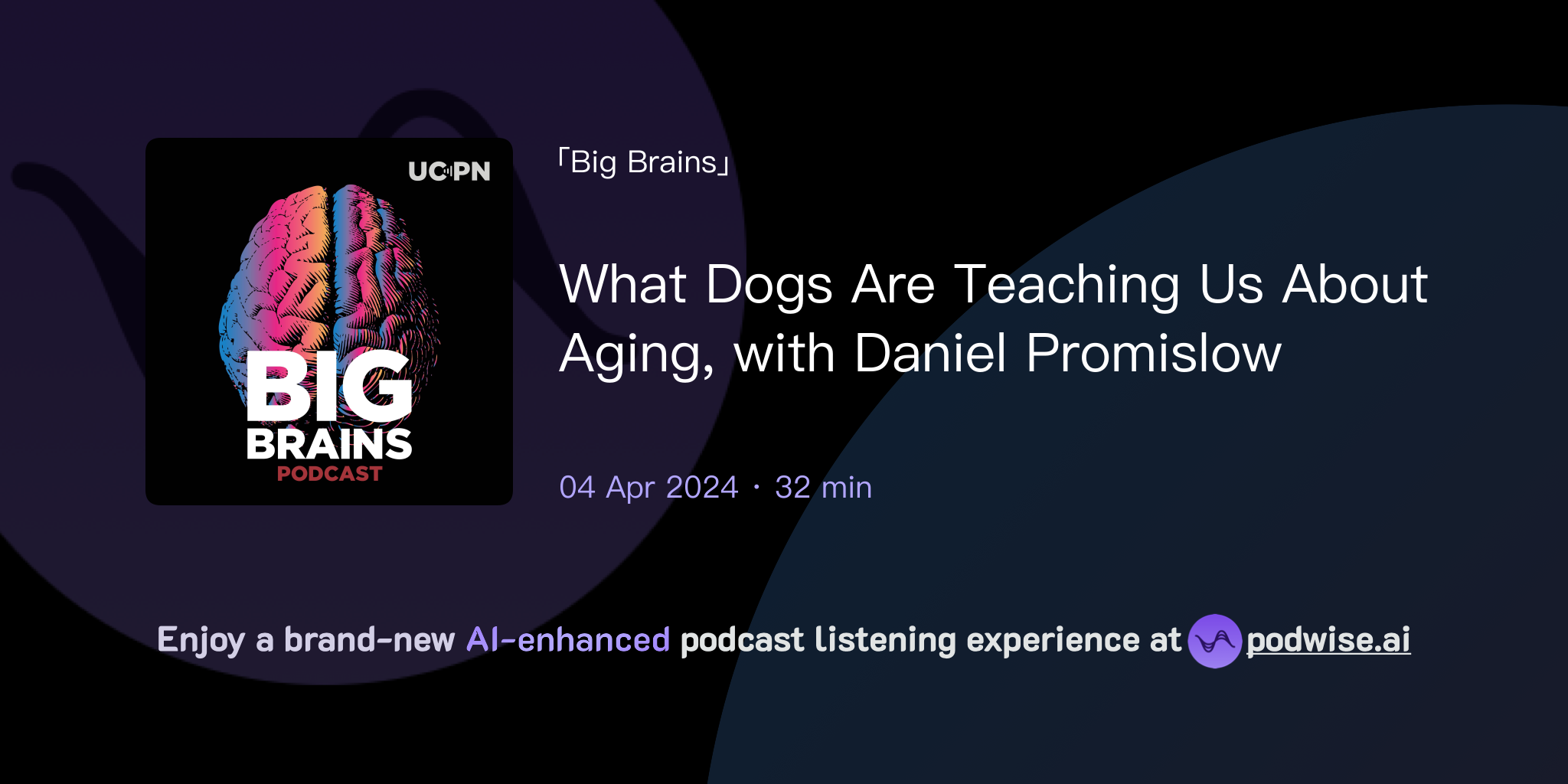 What Dogs Are Teaching Us About Aging, with Daniel Promislow | Big ...
