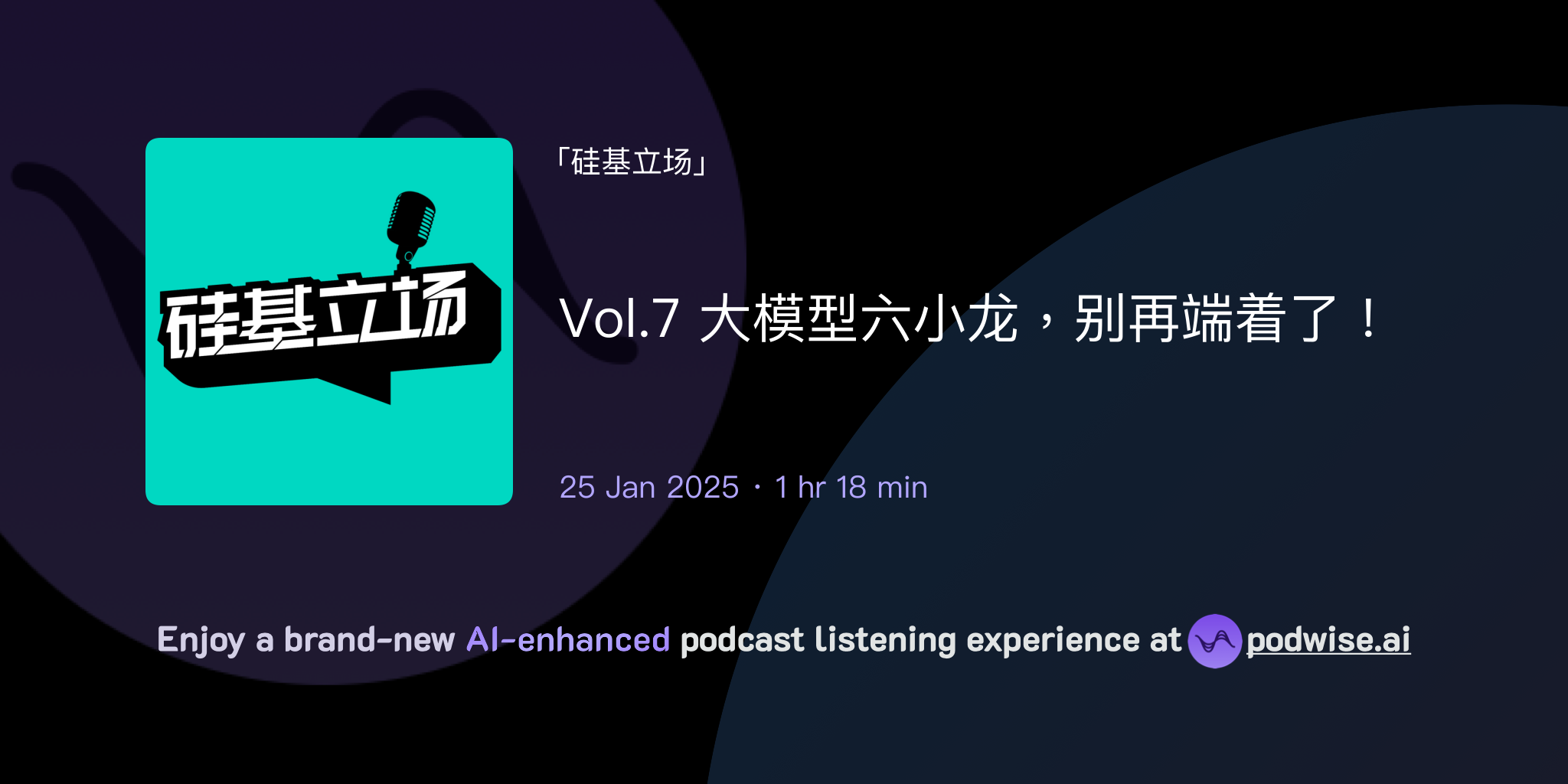 Vol.7 大模型六小龙，别再端着了！ | 硅基立场 | Podwise