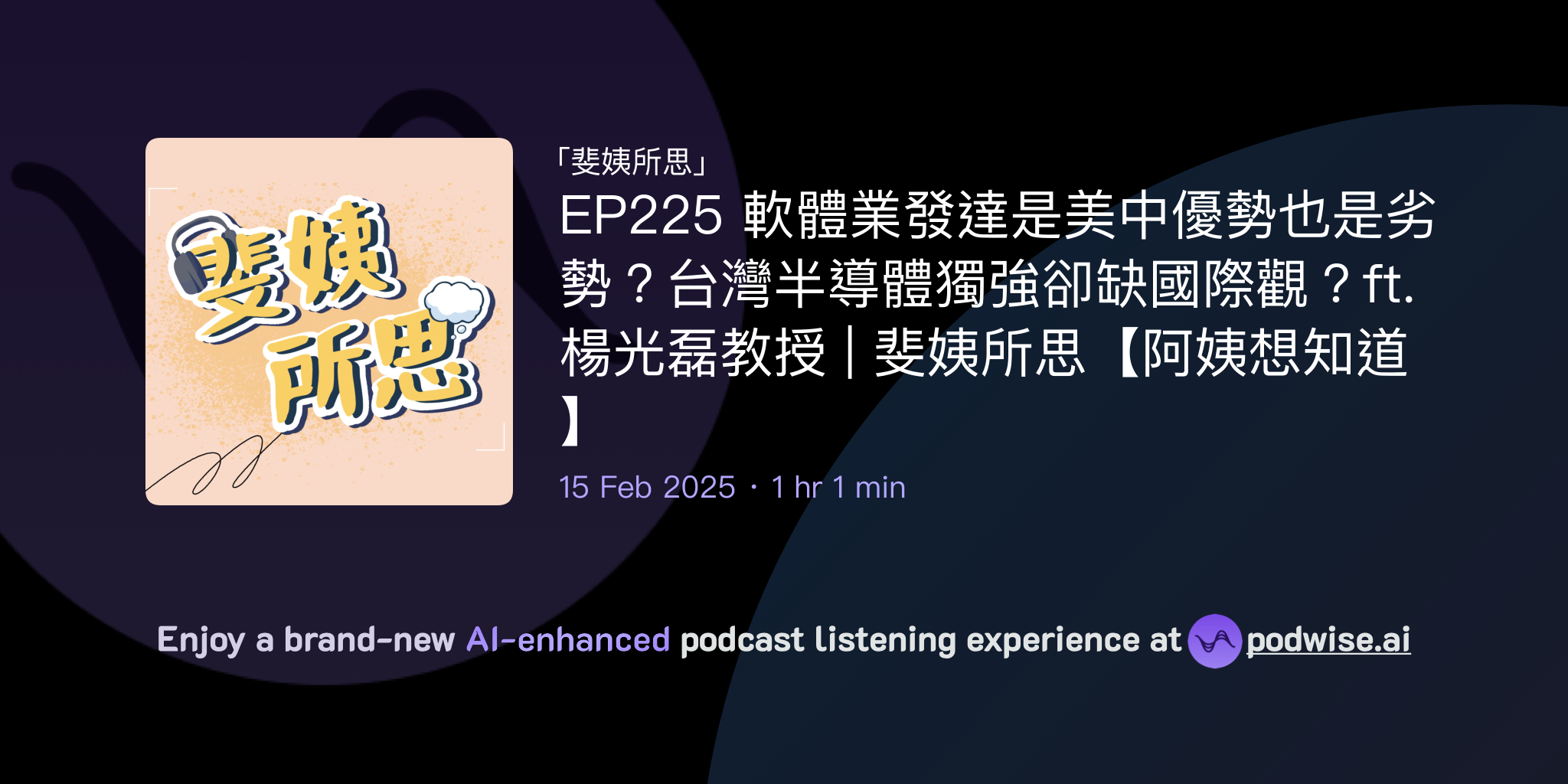 EP225 軟體業發達是美中優勢也是劣勢？台灣半導體獨強卻缺國際觀？ft. 楊光磊教授 | 斐姨所思【阿姨想知道】 | 斐姨所思 | Podwise