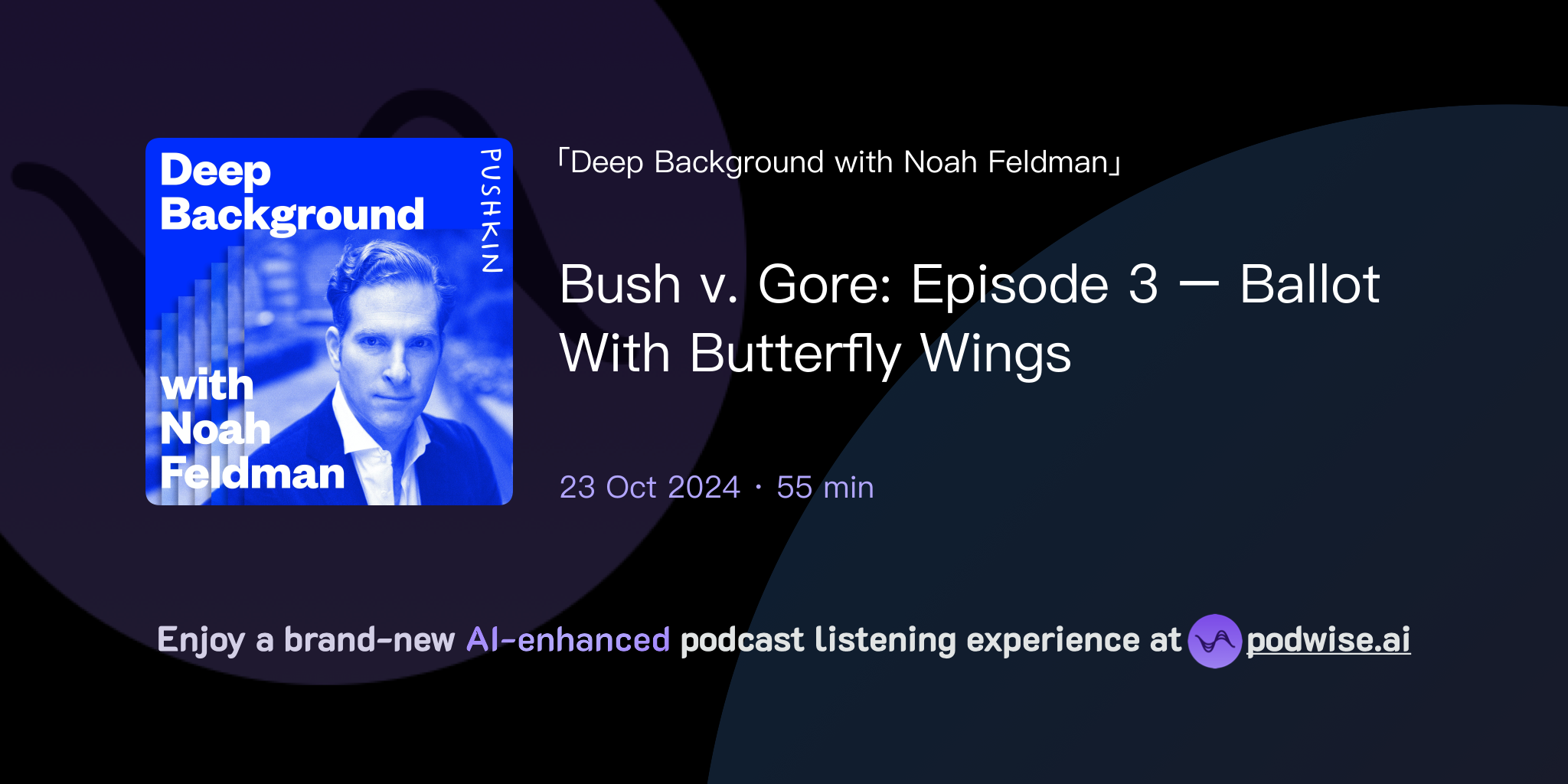 Bush v. Gore: Episode 3 – Ballot With Butterfly Wings | Deep Background with Noah Feldman | Podwise
