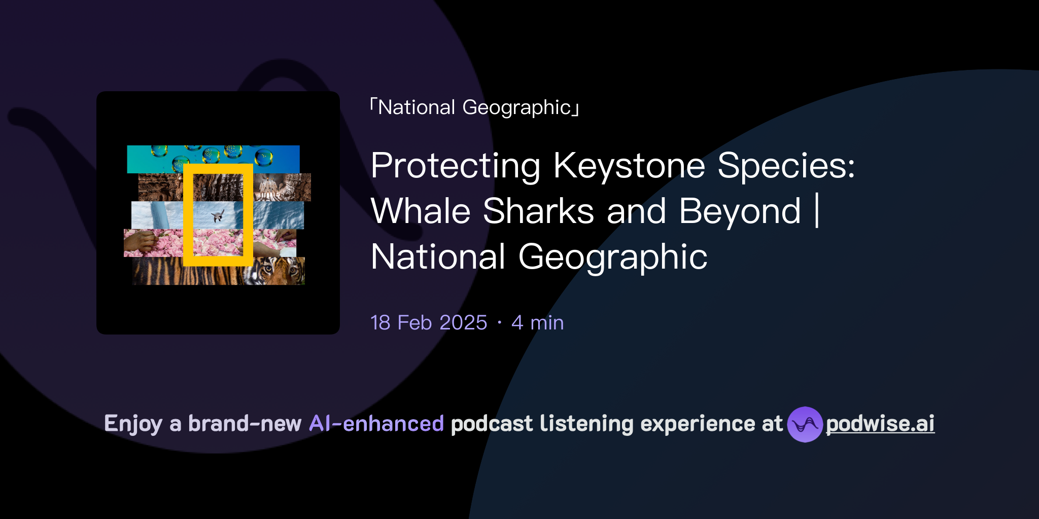 Protecting Keystone Species: Whale Sharks and Beyond | National ...