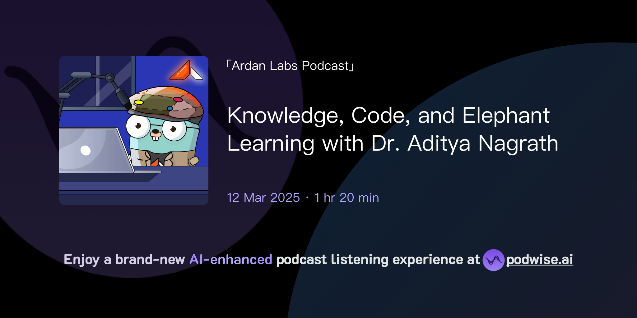 Knowledge, Code, and Elephant Learning with Dr. Aditya Nagrath | Ardan Labs Podcast | Podwise