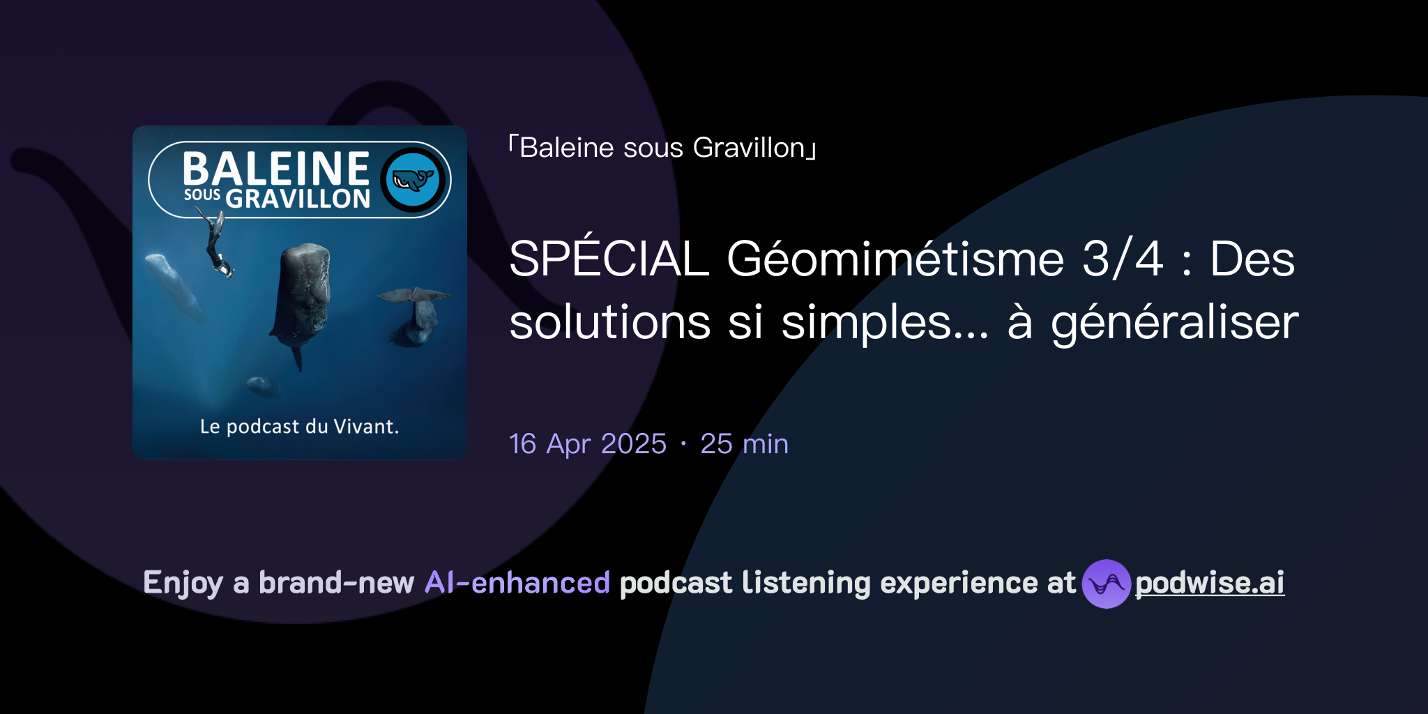 SPÉCIAL Géomimétisme 3/4 : Des solutions si simples... à généraliser | Baleine sous Gravillon ...