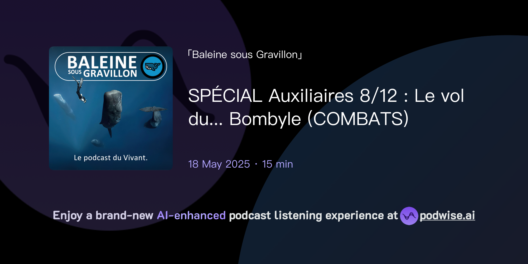 SPÉCIAL Auxiliaires 8/12 : Le vol du... Bombyle (COMBATS) | Baleine sous Gravillon | Podwise
