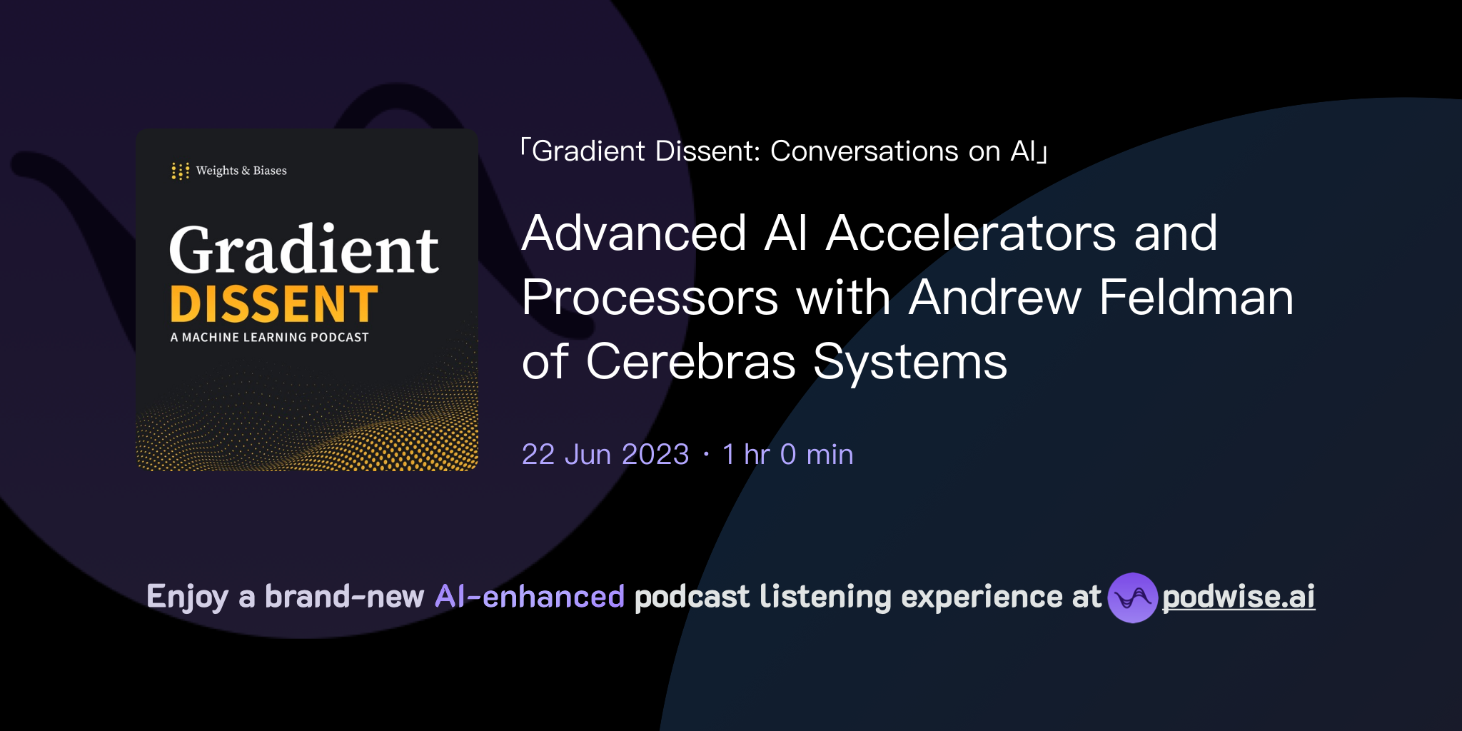 Advanced AI Accelerators and Processors with Andrew Feldman of Cerebras Systems | Gradient ...